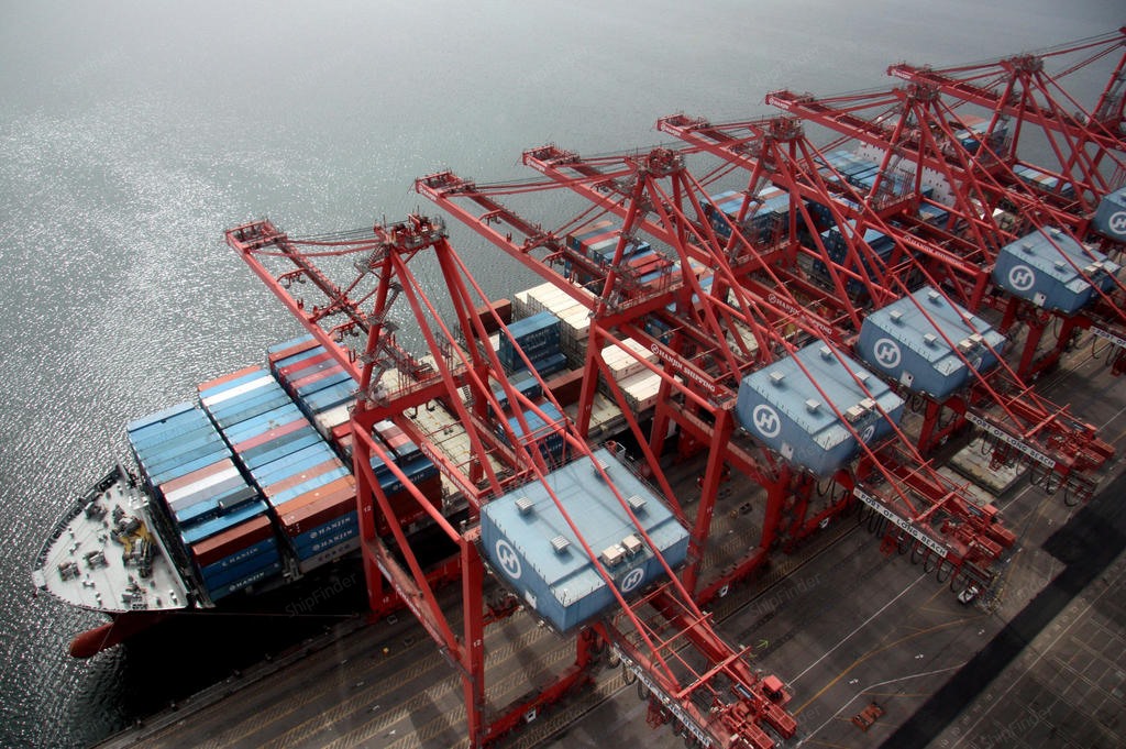MSC NIOVI VIII, Container ship - Current position, specs & port calls ...